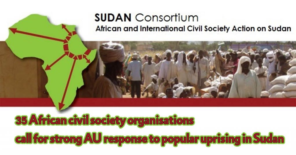 35 African civil society organisations call for strong AU response to ...